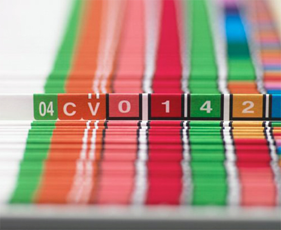 Classifying Records - Crown Information Management